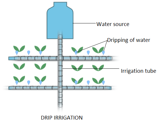 Which of the following irrigation procedures is\/are followed when the ...