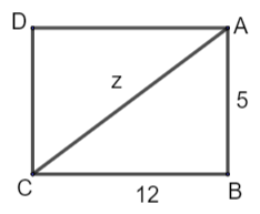 What is the length of a diagonal of a rectangle with length 12 and width 5?