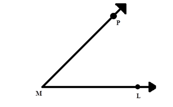Write the arms and the vertex of \\[\\angle LMP\\] given in figure. \n ...