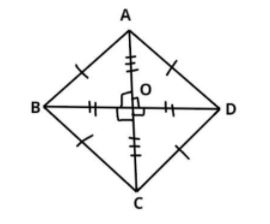 The Diagonal of a Rhombus measures 16cm and 30cm. find its perimeter?