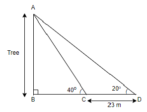 How do you find the height of a tree if the angle of elevation of its ...