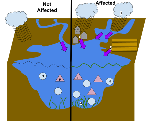 Which of the following is a non-point source of water pollution?A. Road ...