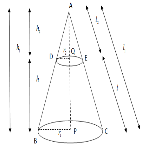 Derive the formula for the curved surface area and the total surface ...