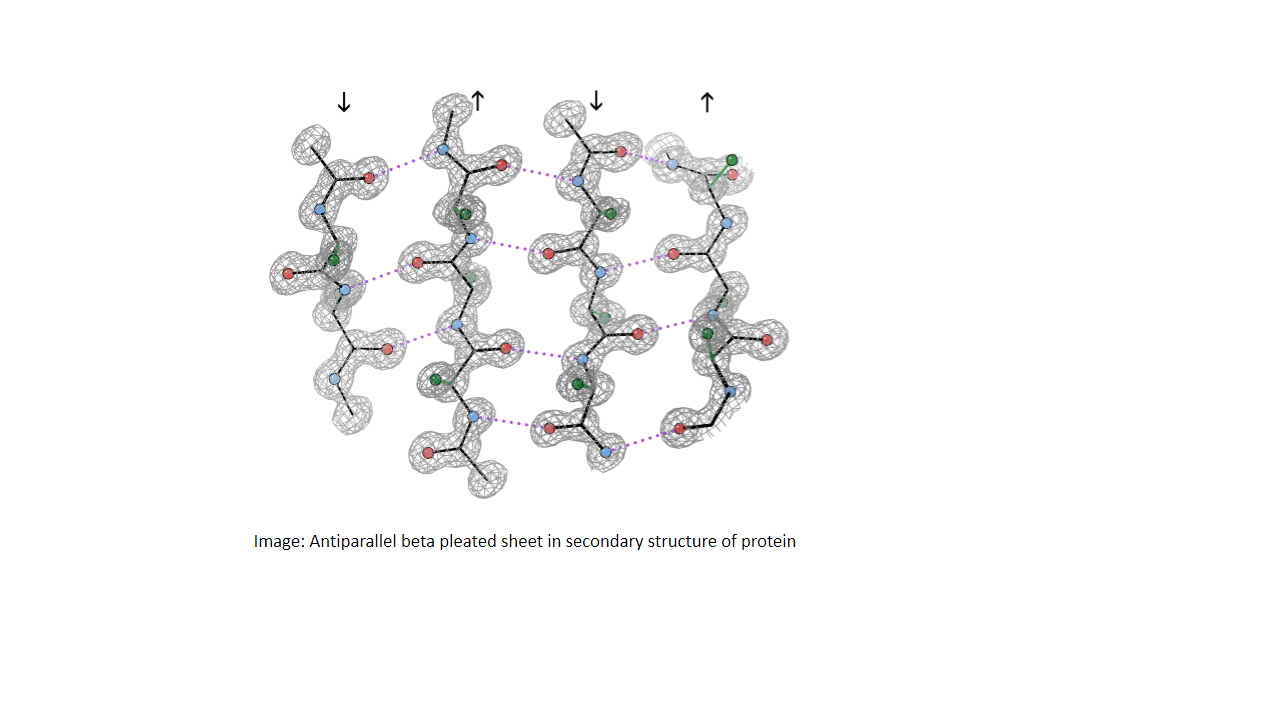 Why are antiparallel beta-sheets more stable?