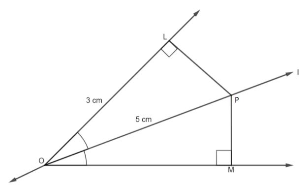 In the figure find $PM$.\n \n \n \n \n A. 2 cmB. 3 cmC. 4 cmD. 5 cm