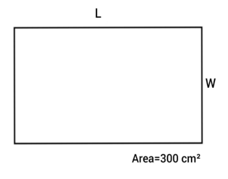 The area of the rectangle is \\[300\\] cm squared. What is the length ...