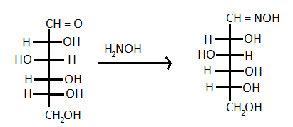 D + glucose reacts with hydroxylamine and yields an class 12 chemistry CBSE