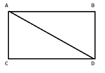 Say true or false The opposite sides of a rectangl-class-9-maths-CBSE