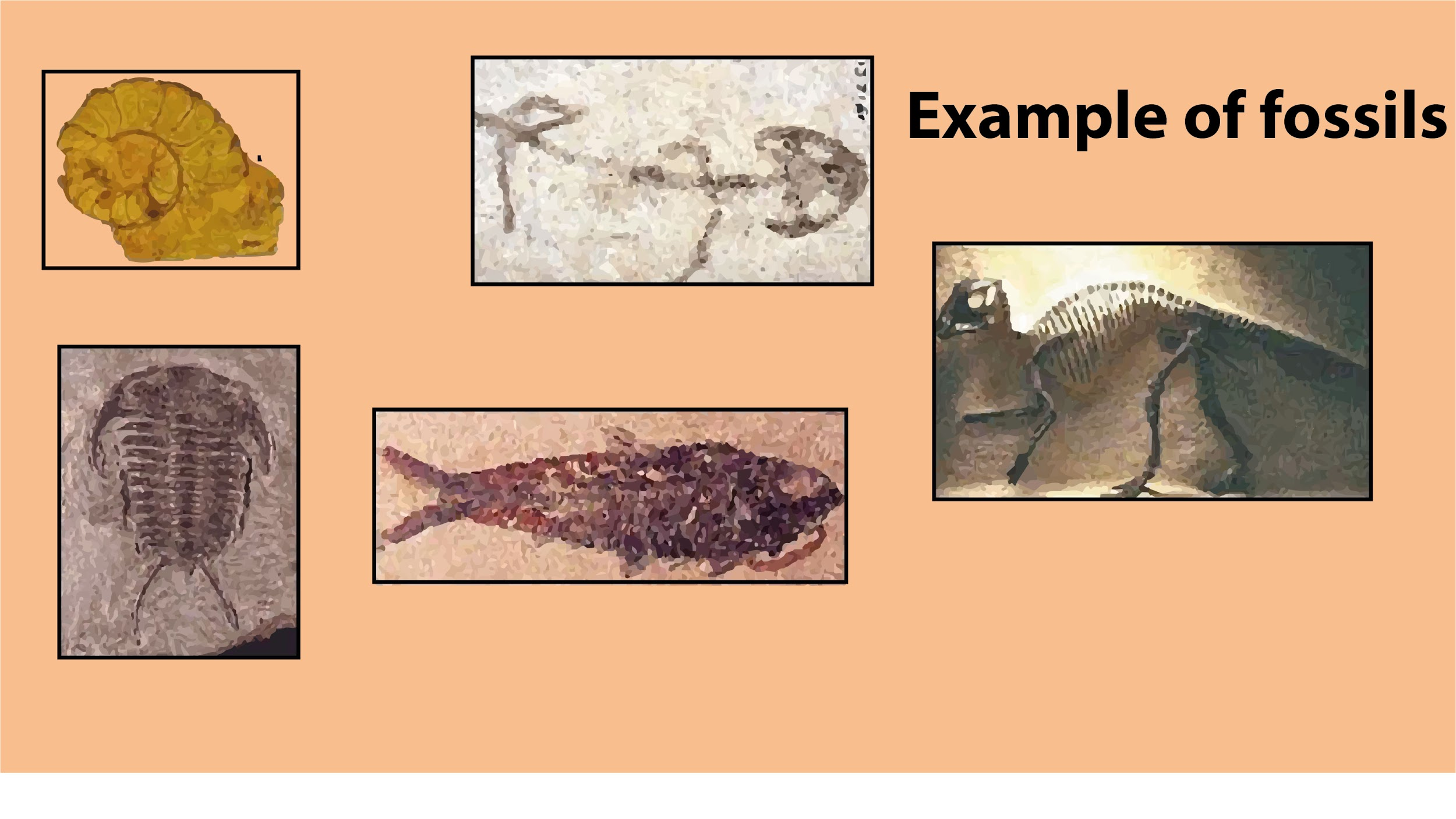 Read the following statements about fossilization:(i)Animals and plants ...