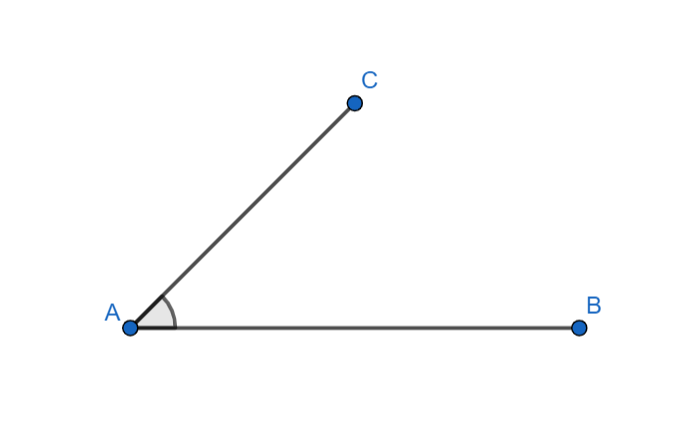 Vertex Of An Angle Triangle