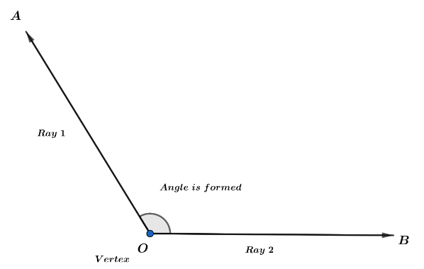 How many obtuse angles does a parallelogram have?