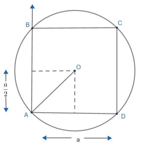 ABCD is a square with side a If AB and AD are taken class 11 maths CBSE