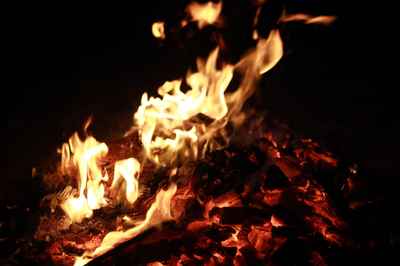 Bhogi Festival: Farewell to Old, Hello to New!