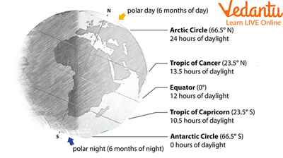 Interesting Facts About Summer Solstice: The Longest Day of the Year