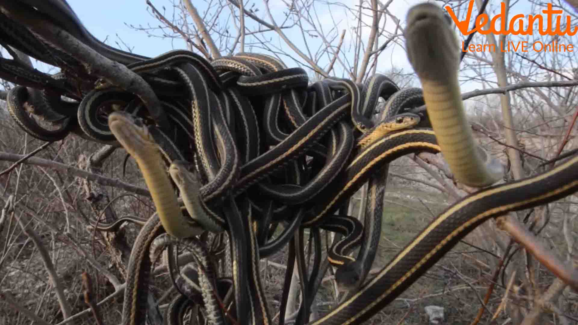 Forbidden Places on Our Planet that You Should Absolutely Avoid