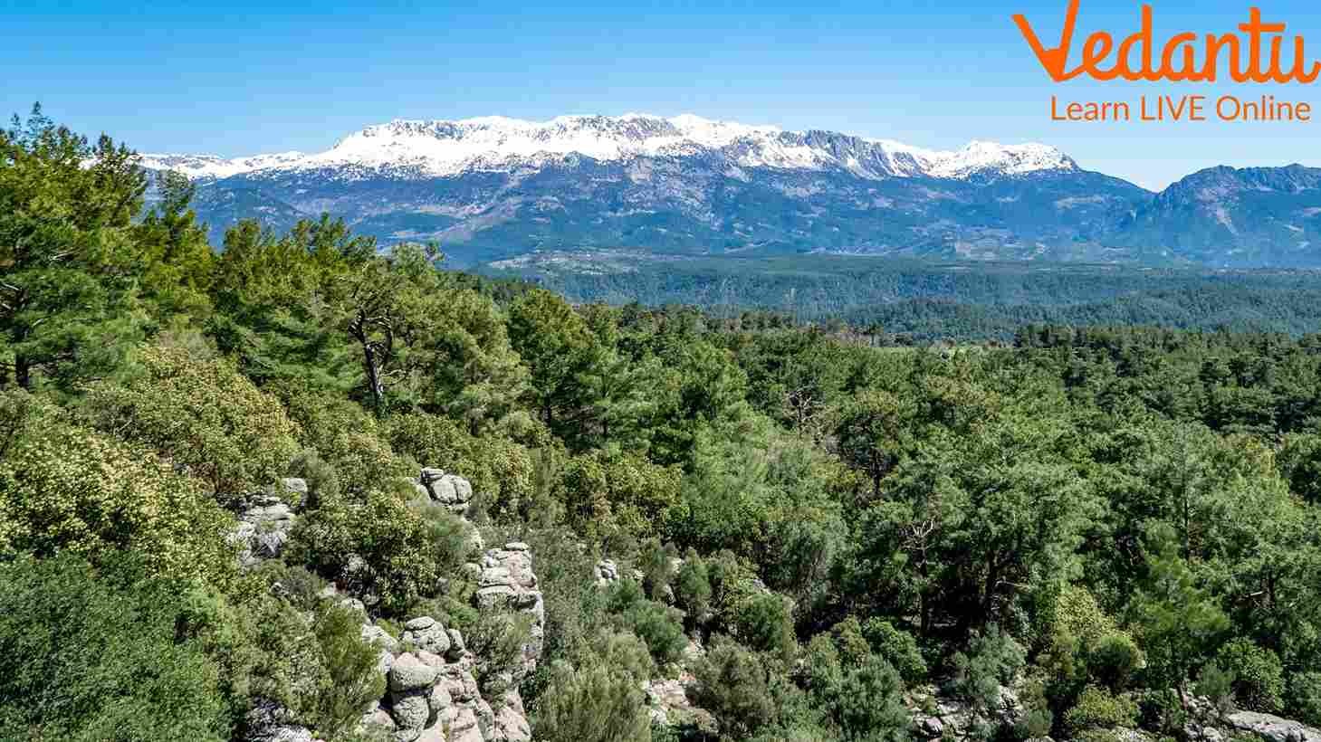 Click to Know How Mountains Are Formed