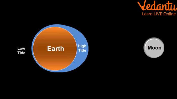 Why Does the Moon Wobble? Check Out This Blog To Learn About Moon Wobbling