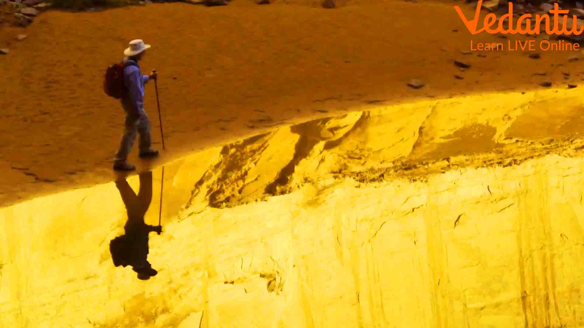 What are the Different Types of Illusion Occurring in Nature?