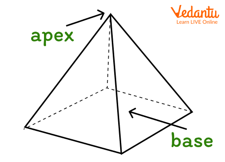 The Base Of A Shape Learn Definition Facts Examples The Base Of A Shape Learn Definition Facts Examples