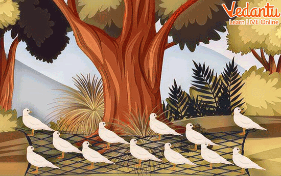 5 Lines Short Stories with Moral in English | Interesting Stories for Kids
