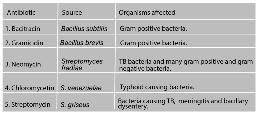 Microbes in Human Welfare Class 12 Notes CBSE Biology Chapter 10 [PDF]