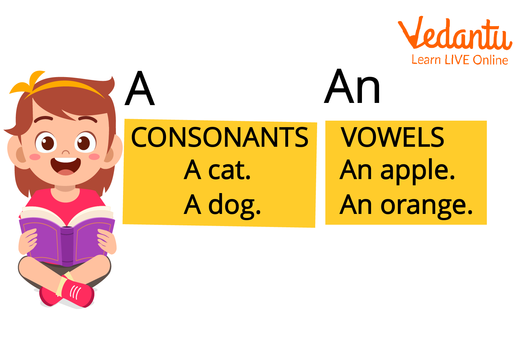 English Grammar For Class 7 The Article Syllabus Practise Questions English Grammar For Class 7 The Article Syllabus Practise Questions