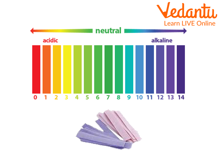 Interesting Facts About Acids Learn Important Terms And Concepts Interesting Facts About Acids Learn Important Terms And Concepts