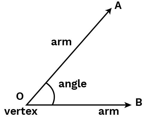 CBSE Class 6 Maths Chapter 4 Basic Geometrical Ideas Notes [PDF]