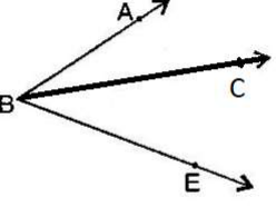 NCERT Solutions for Class 6 Maths Chapter 4 - Basic Geometrical Ideas PDF.