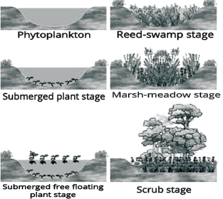 Ecosystem Class 12 Notes CBSE Biology Chapter 12 [PDF]