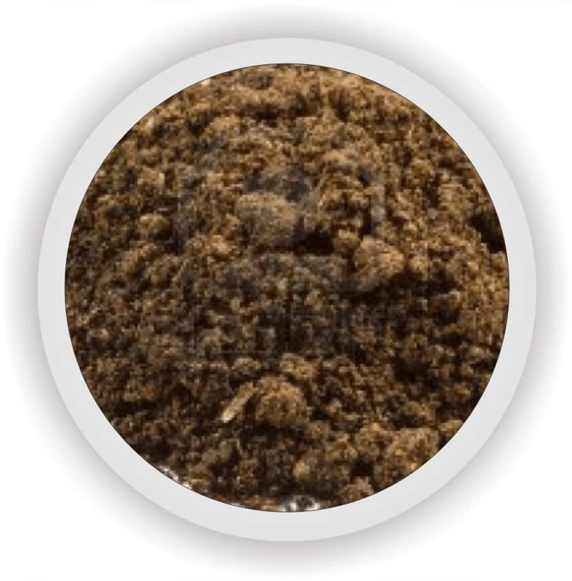 Types of Soil - Sandy, Silty, Clay, Peaty, Saline and Loam Soil