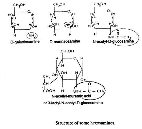 Monosaccharides | Uses and Types of Monosaccharides