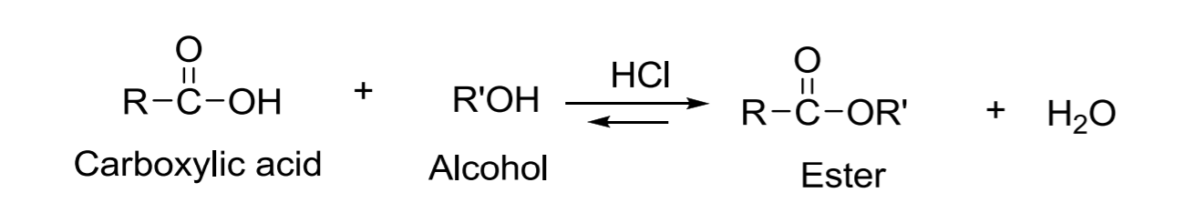 Ester - Structure of Ester | Synthesis and Reactions of Ester