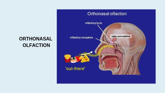 Sensory Perception | Process of Sensory Perception