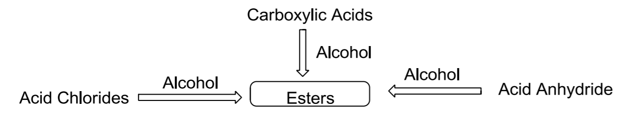 Ester - Structure of Ester | Synthesis and Reactions of Ester