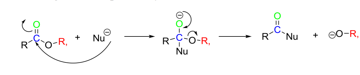 Ester - Structure of Ester | Synthesis and Reactions of Ester