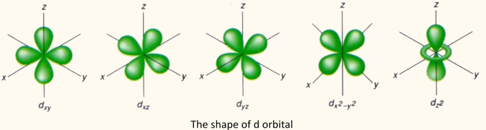 Shapes of Orbitals | What is Orbital? Types of Orbitals