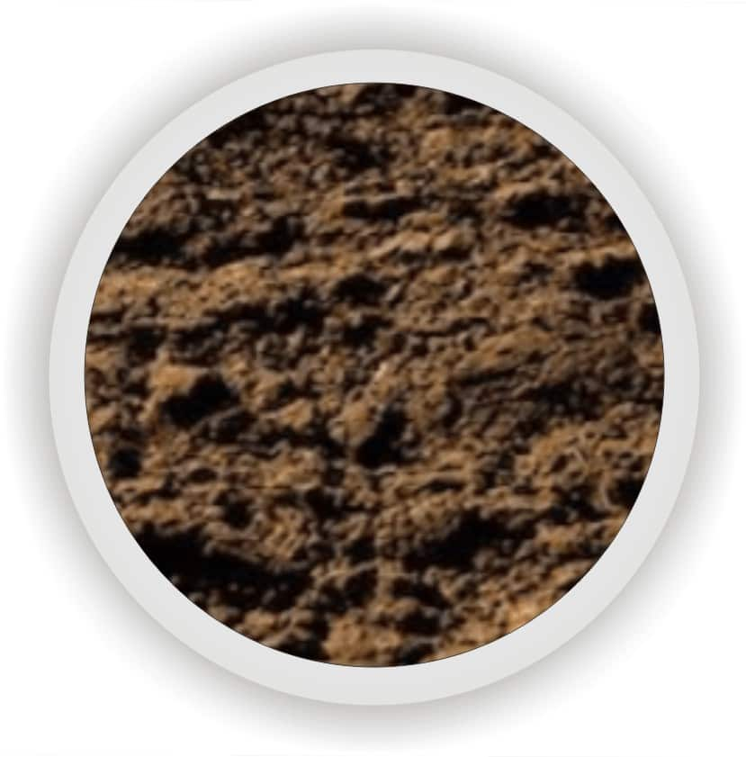 Types of Soil - Sandy, Silty, Clay, Peaty, Saline and Loam Soil