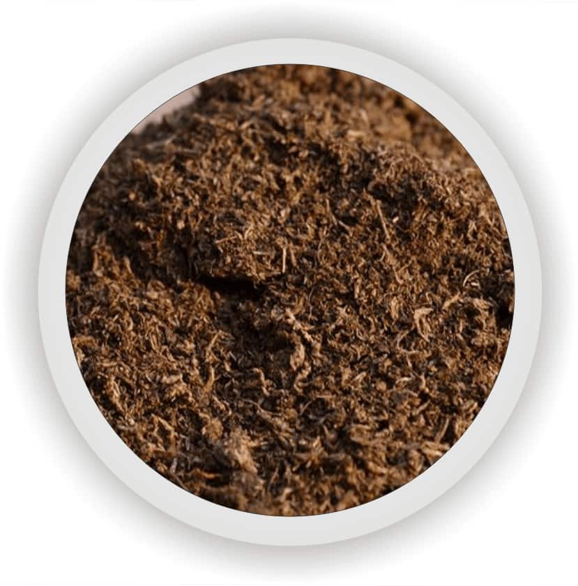 Types of Soil - Sandy, Silty, Clay, Peaty, Saline and Loam Soil