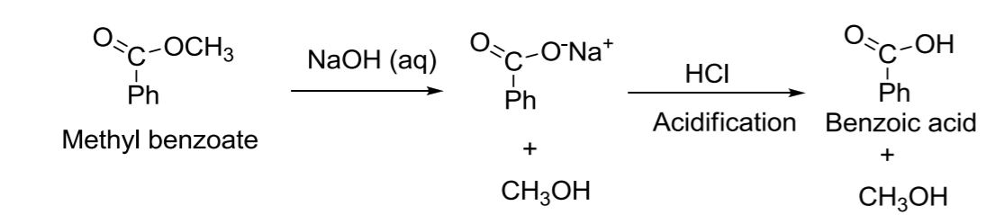Ester - Structure of Ester | Synthesis and Reactions of Ester