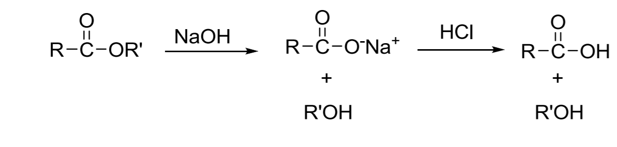 Ester - Structure of Ester | Synthesis and Reactions of Ester