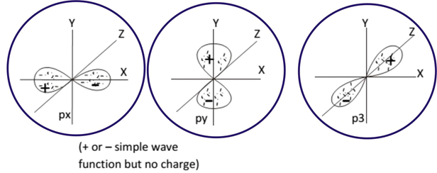 Shapes of Orbitals | What is Orbital? Types of Orbitals