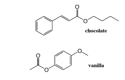 Ester Molecule Structure