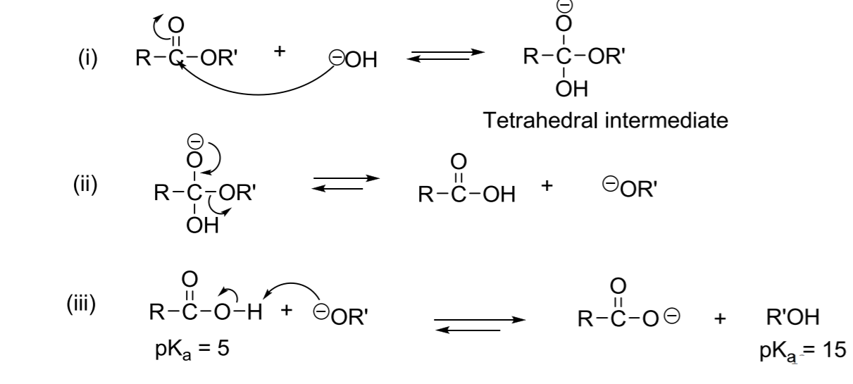 Ester - Structure of Ester | Synthesis and Reactions of Ester