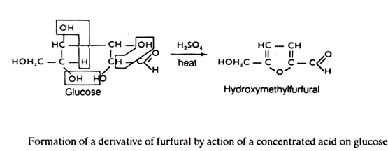 Monosaccharides | Uses and Types of Monosaccharides
