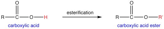 What is Condensation ? | Condensation Definition and Process