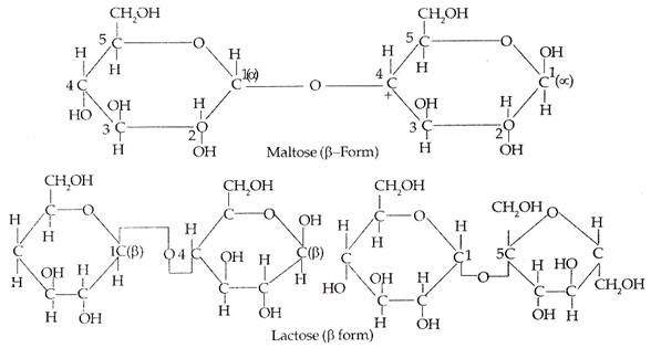 Classification of Carbohydrates | Examples and Structure of Carbohydrates