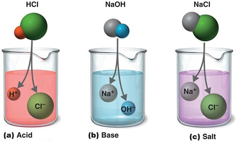 Acids Bases and Salts | Properties of Acids, Bases and Salts